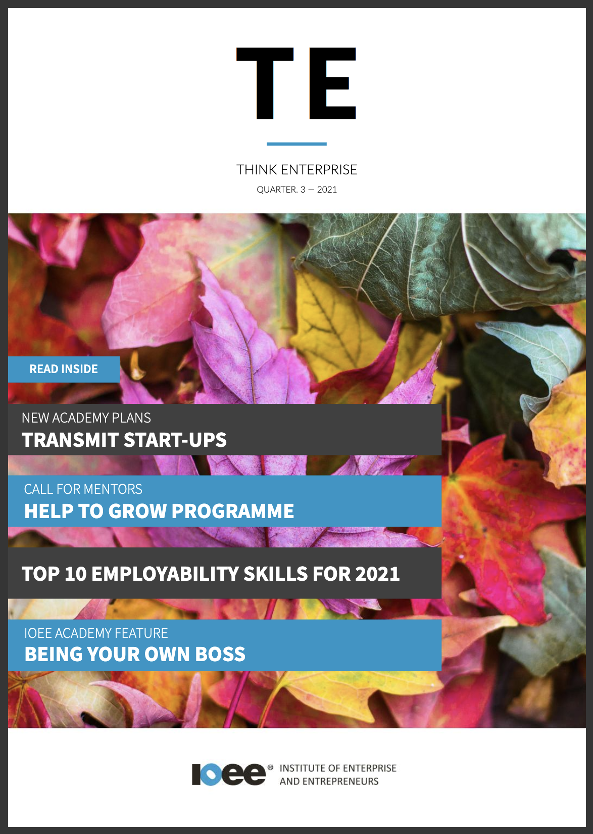 2021 - Institute of Enterprise and Entrepreneurs